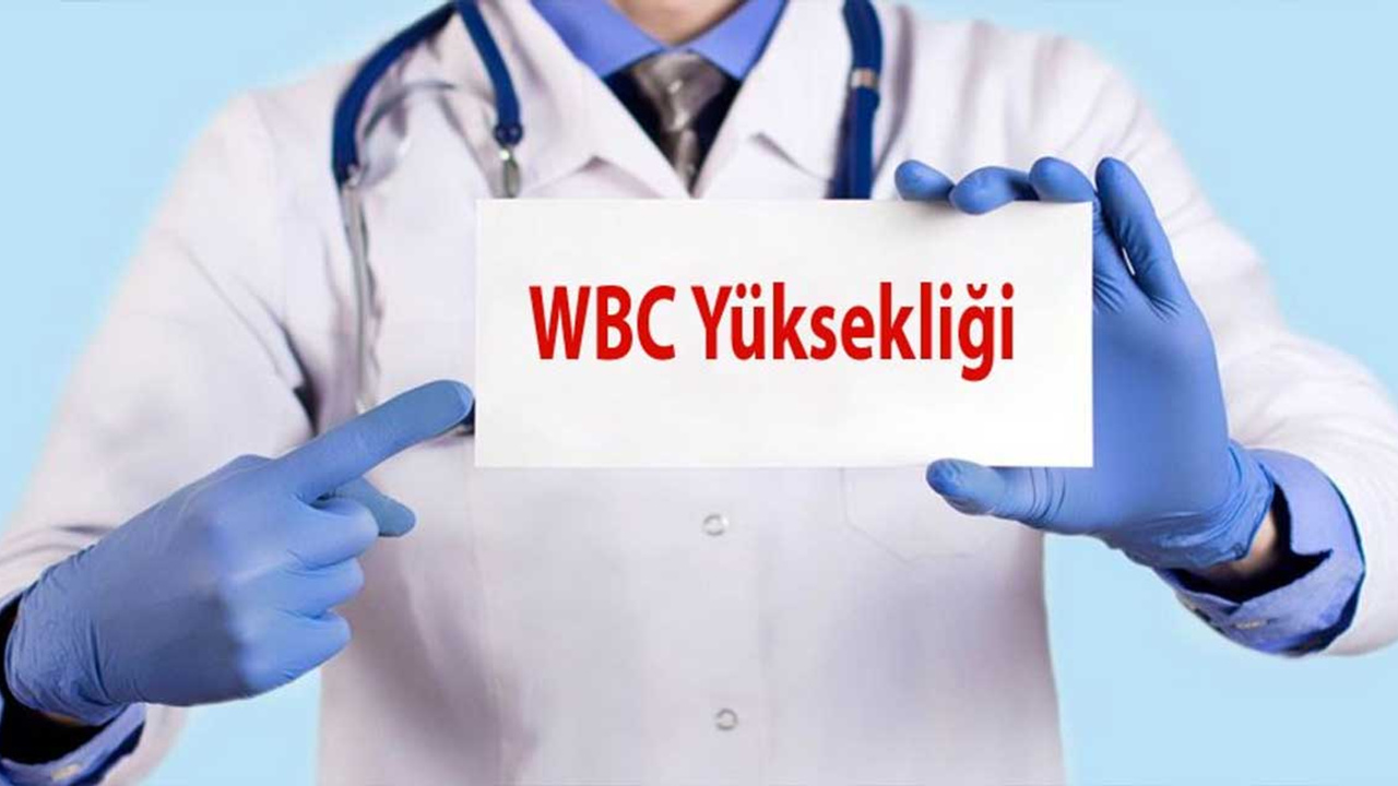 WBC yüksekliği nedir?