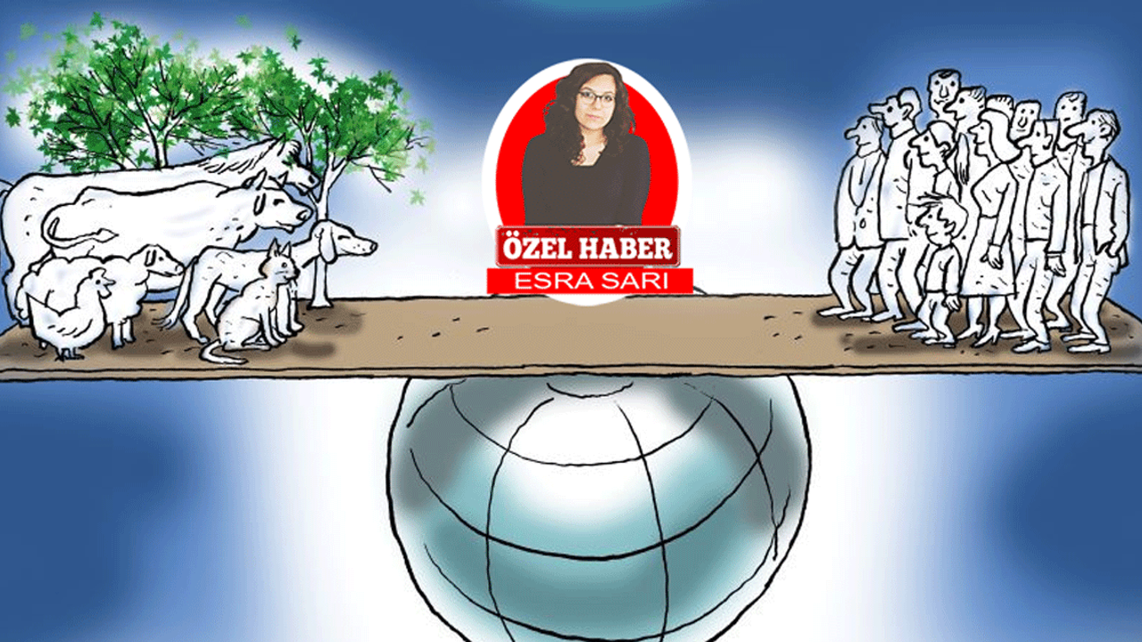 İnsan, hayvan ve çevre sağlığı birbirine bağlı!