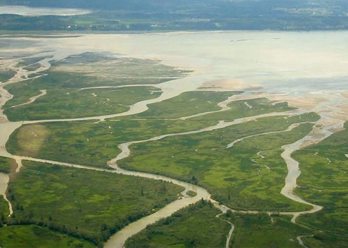 Delta ovası nasıl oluşur? Delta ovası Türkiye'de nerelerde görülür?